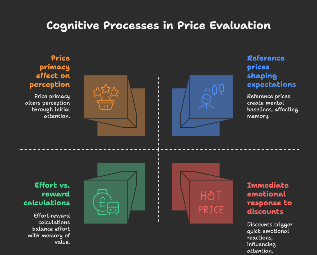 The Neuroscience Of Price Processing: How The Brain Evaluates Cost ...